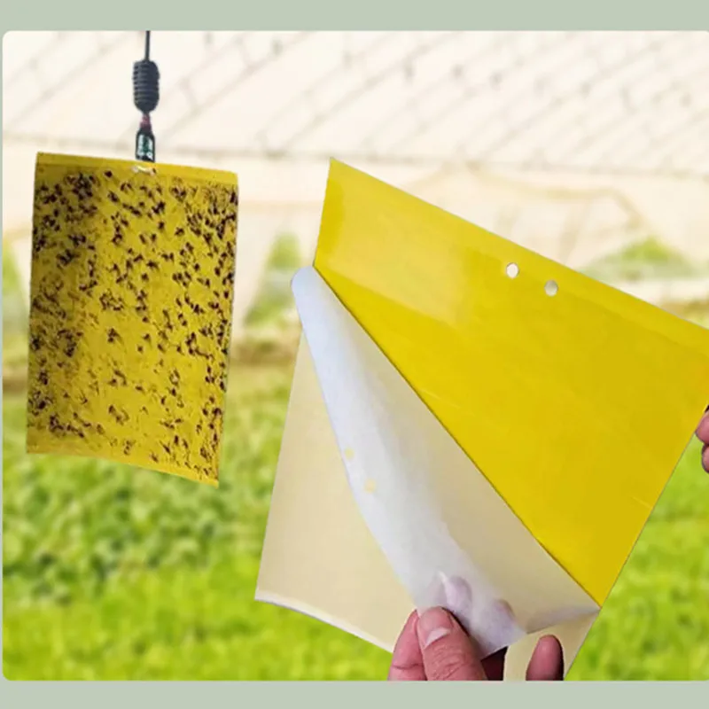 Trampas-para-moscas-fuertes-tablero-pegajoso-para-atrapar-insectos ...