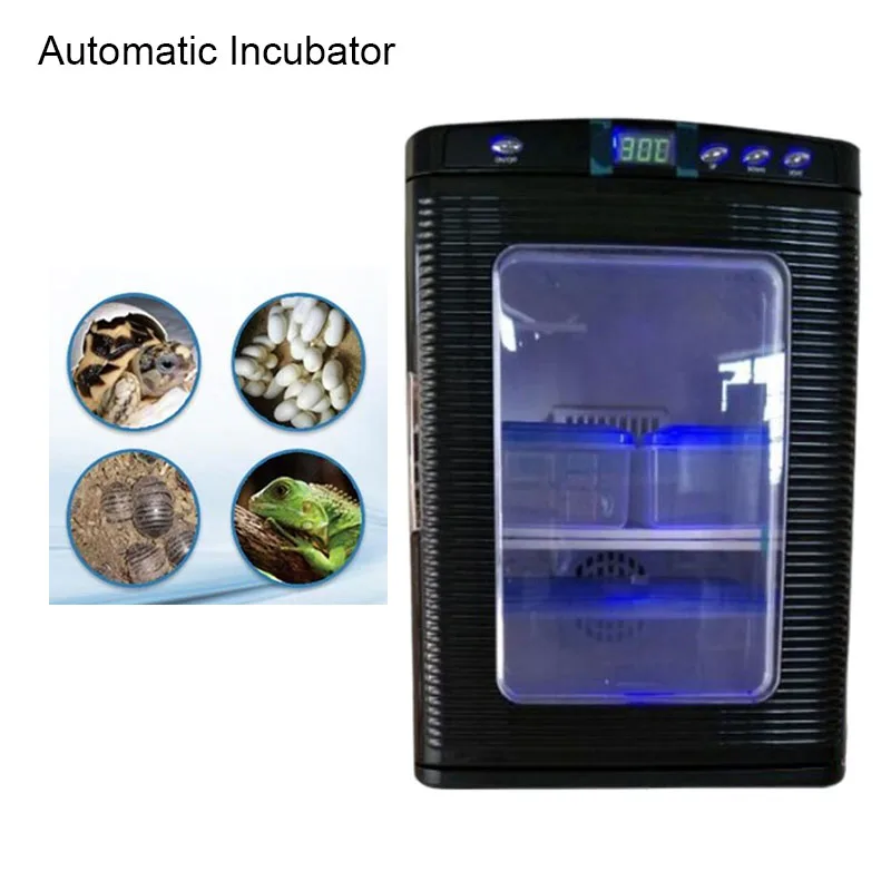 Portable-Animal-Reptile-Incubator-Chameleon-Lizard-Incubator-small-egg ...