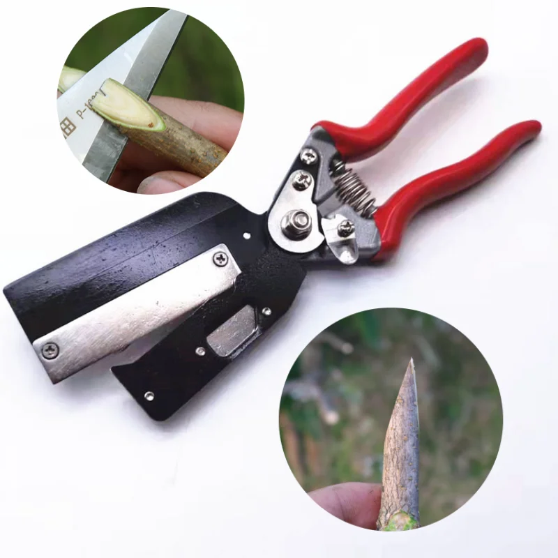 Special-Tool-for-Fruit-Tree-Seedling-Grafting-Thick-Branch-Grafting ...