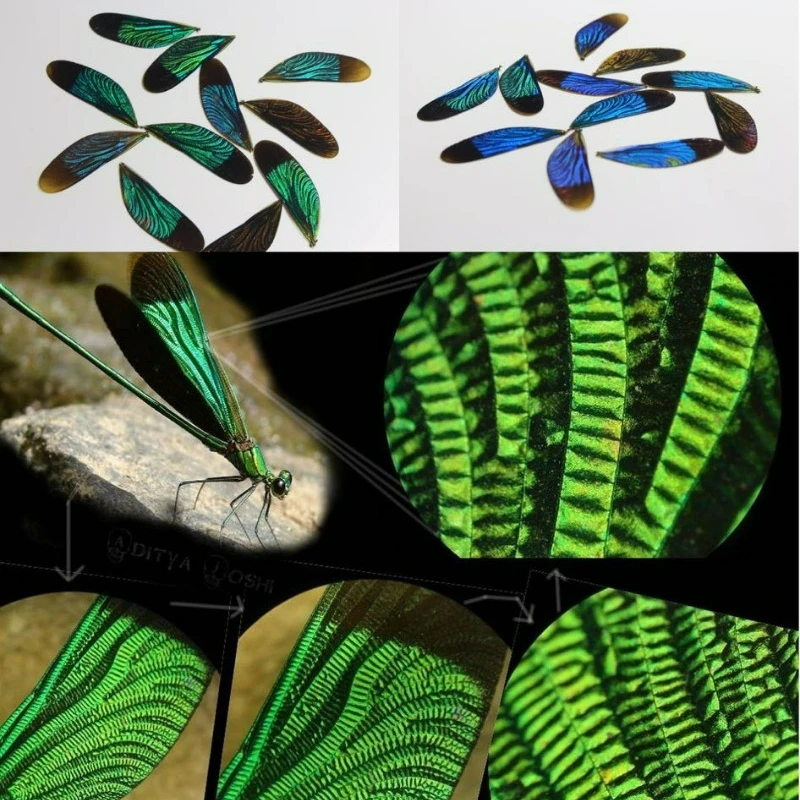 Página principal Productos Comentarios