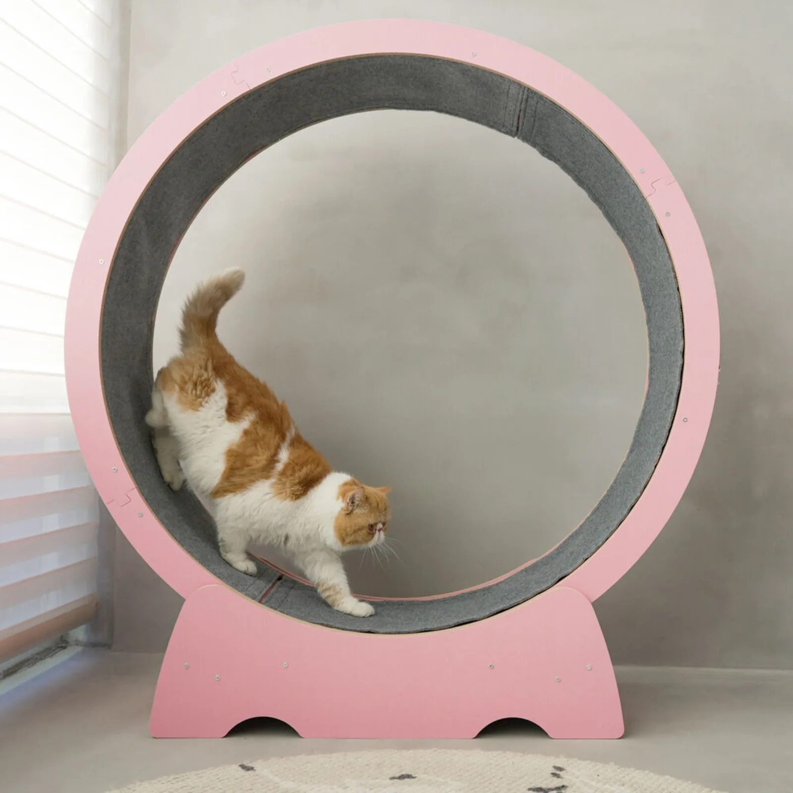 Cat Exercise Wheel Large Wooden/PVC Cat Treadmill Running Wheel Cat Toy ...