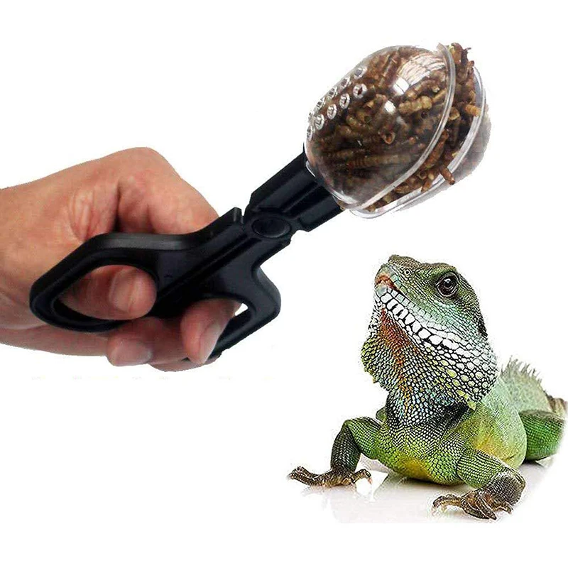 Transparent-Plastic-Clip-Reptile-Clamp-Lizards-Spider-Reptile-Bread ...