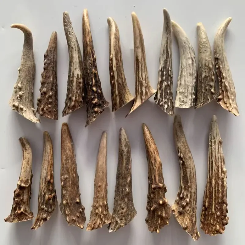 Real-Deer-Horn-Tip-DIY-Pendant-Necklace-Carving-Material-Deer-Horn ...