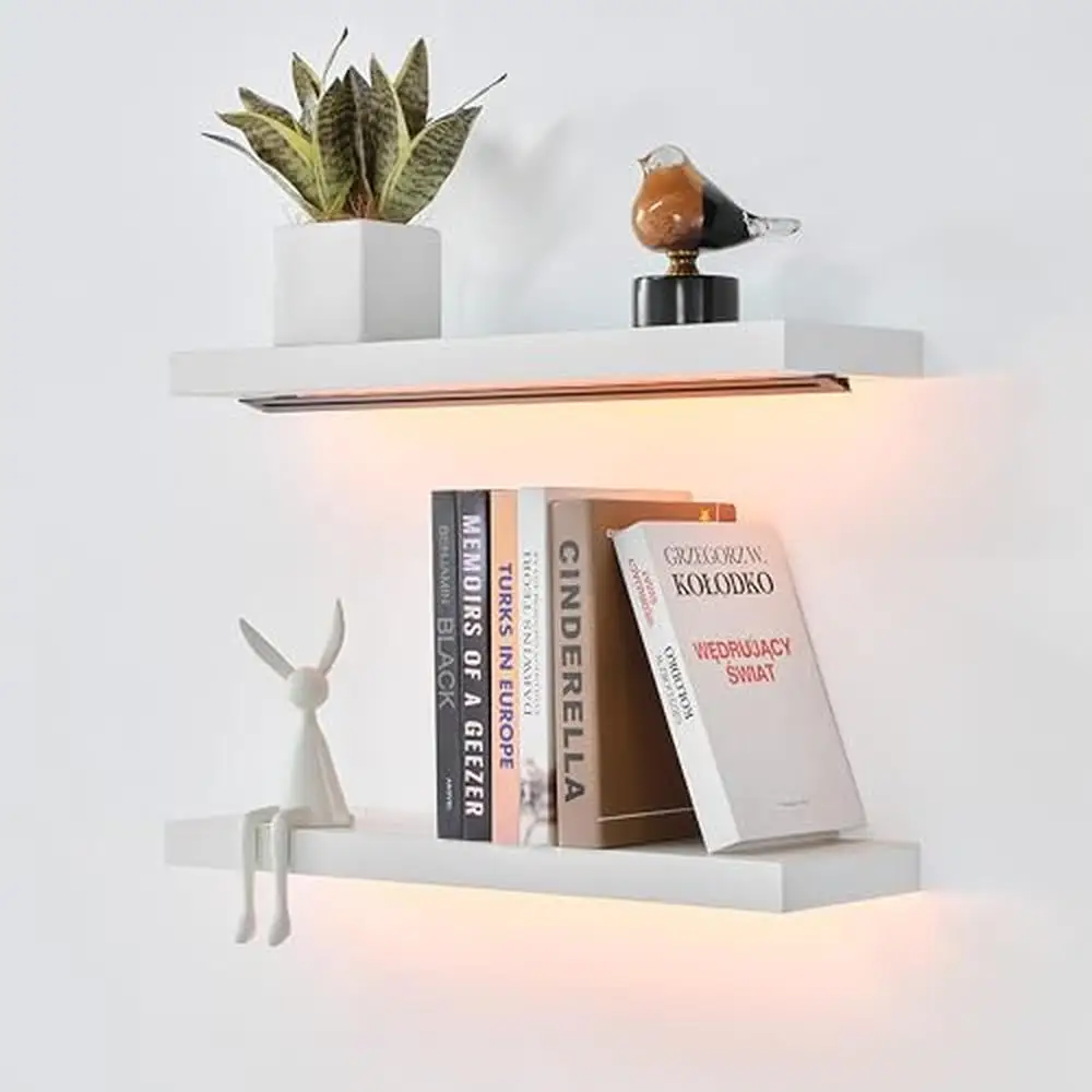 Floating RGB Light Shelf – Inspire Interiors Hub