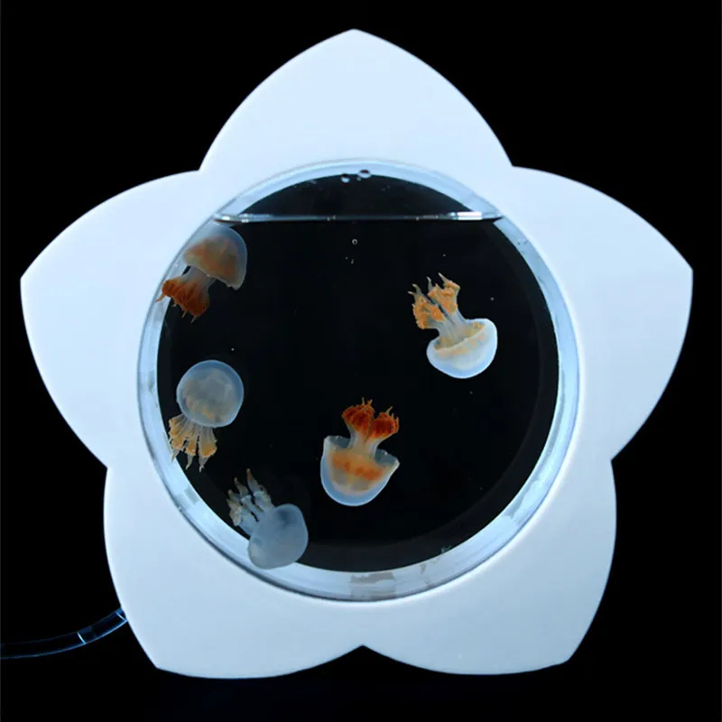 Jellyfish Tank Small Fish Mini Aquarium