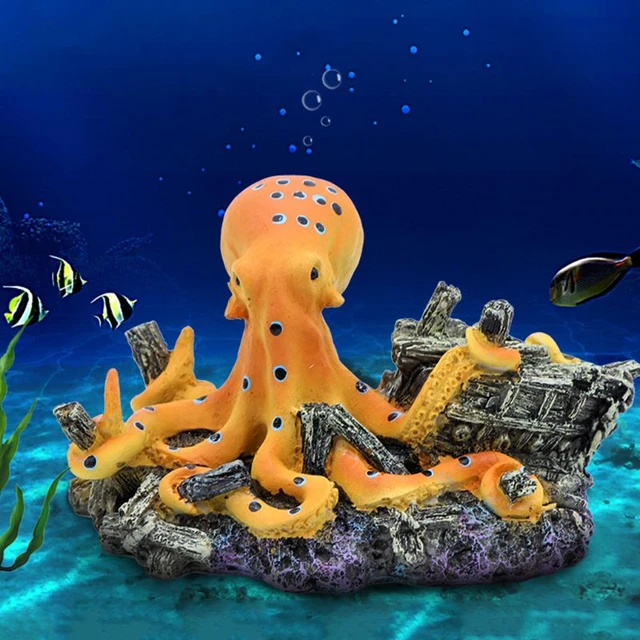 Home Octopus Tank