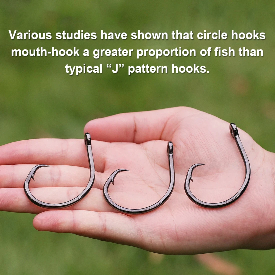 FishTrip Circle Hooks - Outdoor Adventure Sport Shop