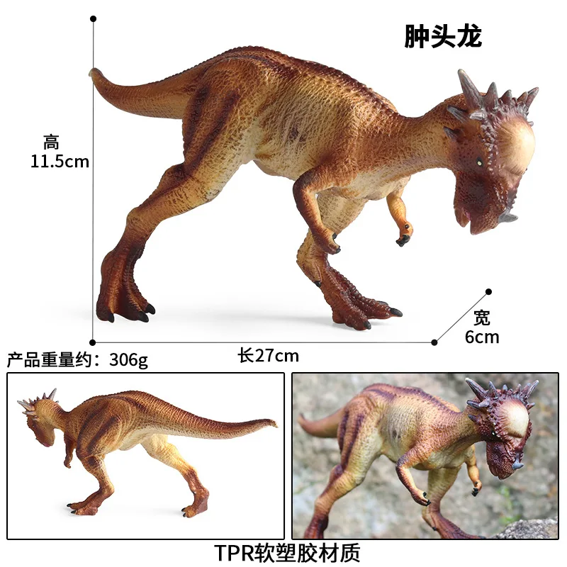 Pachycephalosaurus Size