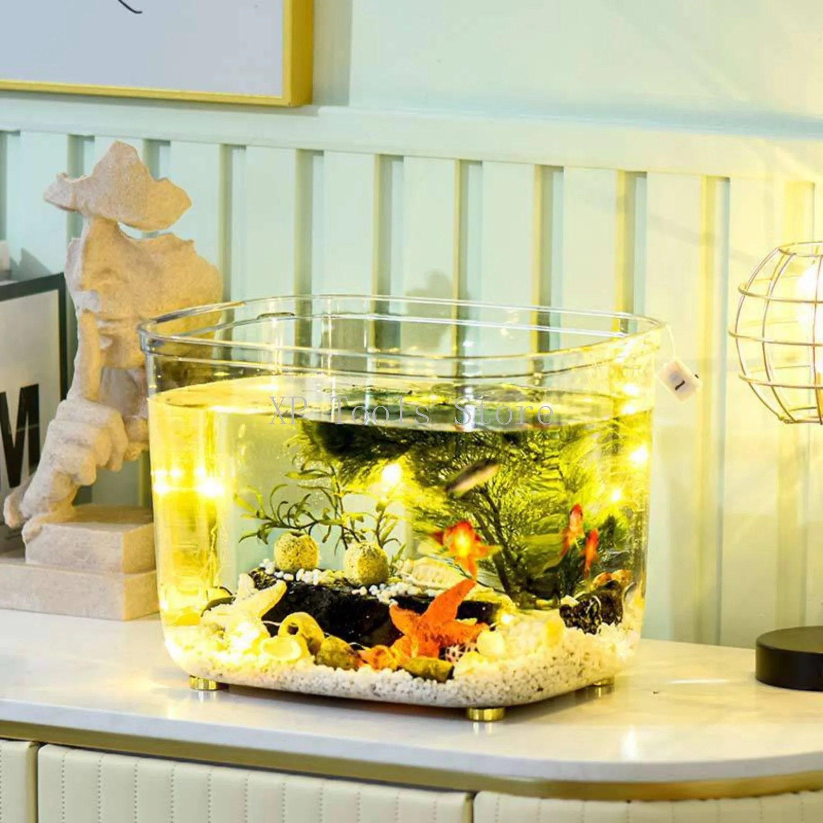 Self-Sustaining Fish Ecosystem: A Complete Guide to Building and ...