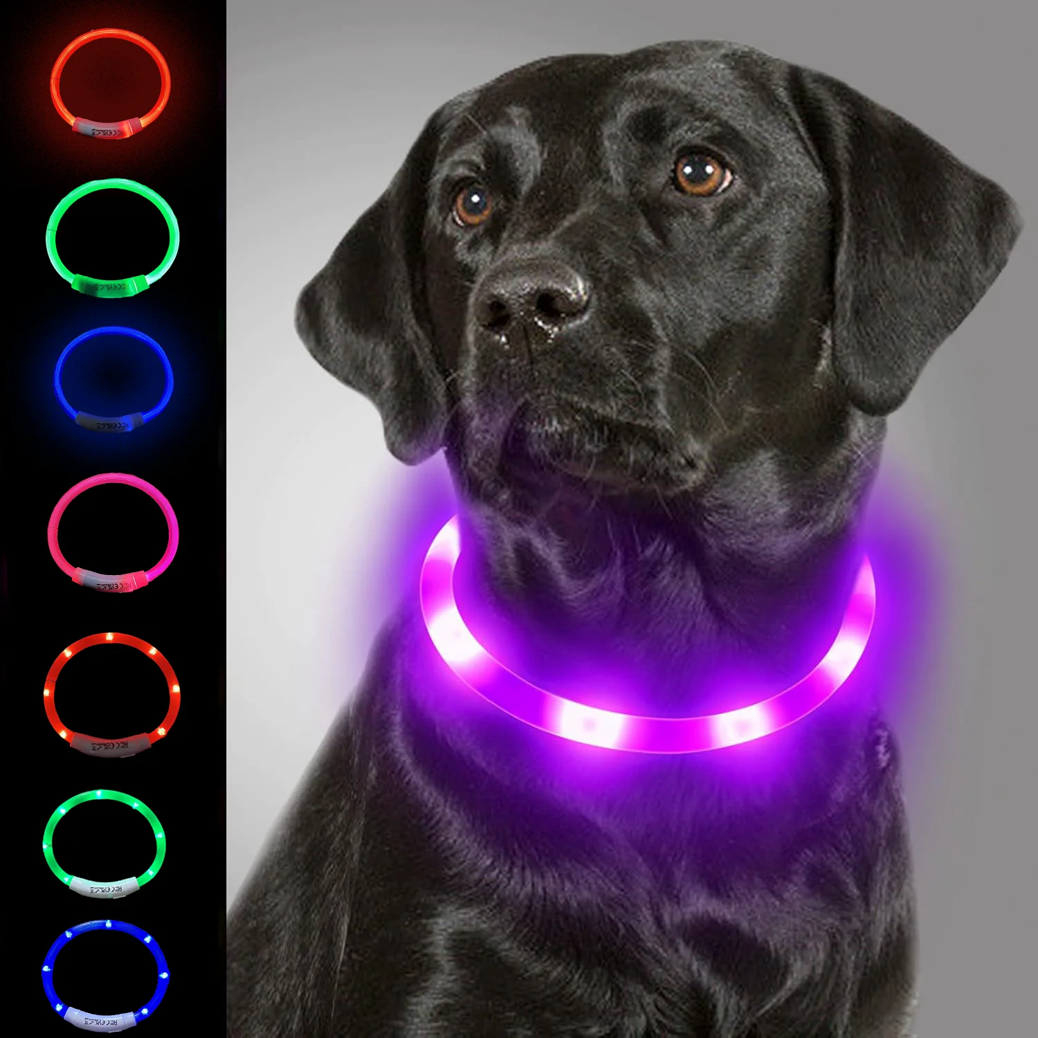Dog Light Up Collar LED Collar Light Up Cat Collar USB Rechargeable ...