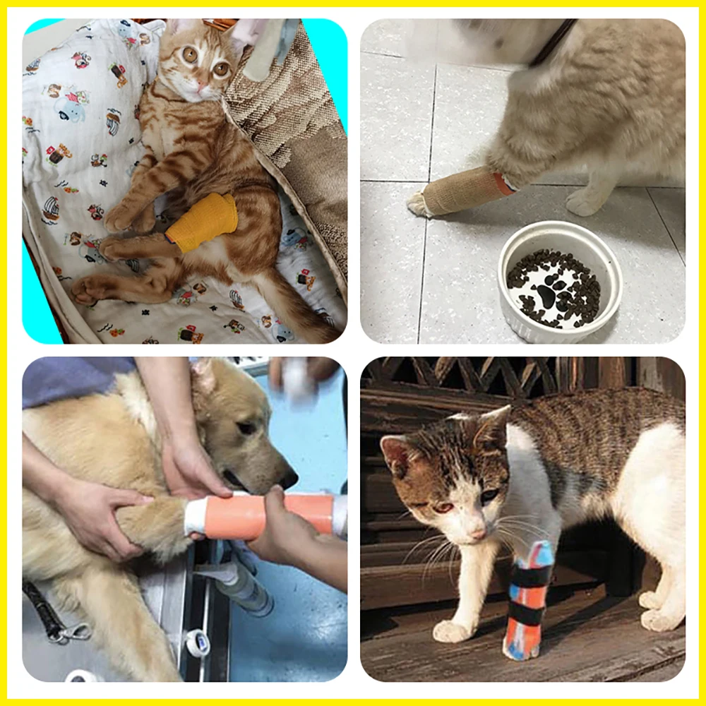 1Roll Pet Orthopedics First Aid Splint Polymer Fracture Training ...