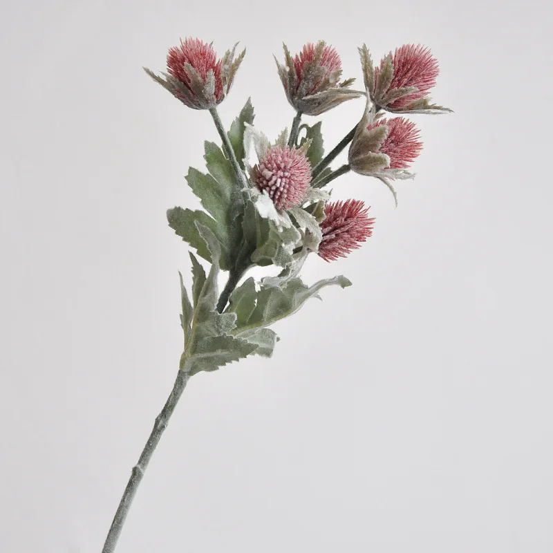Celery Plant Flower