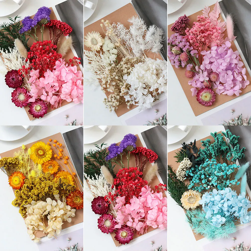 1-Pack-Artificial-Plants-Dried-Real-Flowers-Preserved-Materials-Epoxy ...