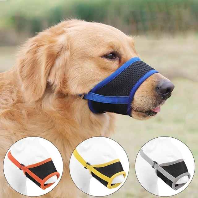 Cloth Muzzle For Small Dog | ppgbbe.intranet.biologia.ufrj.br