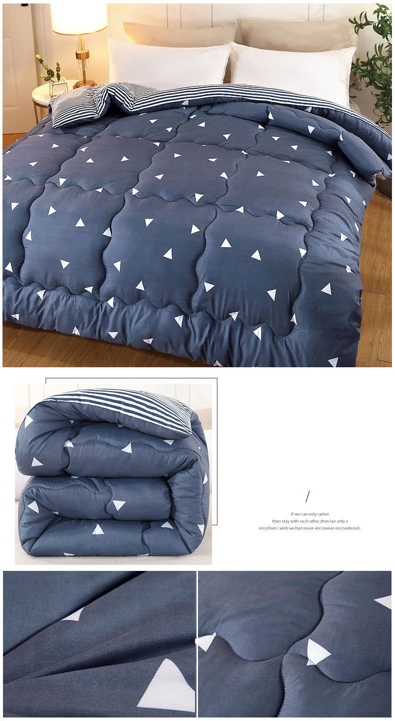 Deodar Winter Thicken Warm Microfiber Filled Fluffy Comforter Core ...