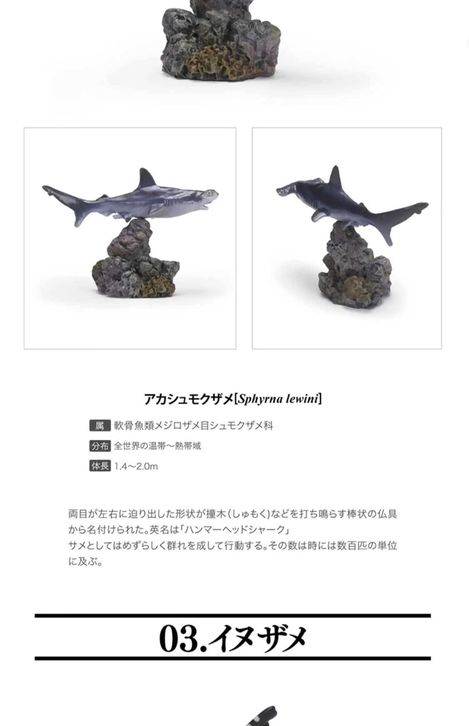 BANDAI-Mini requin Gashapon Egg Big Seattle Map of Carcharodon Carpros ...