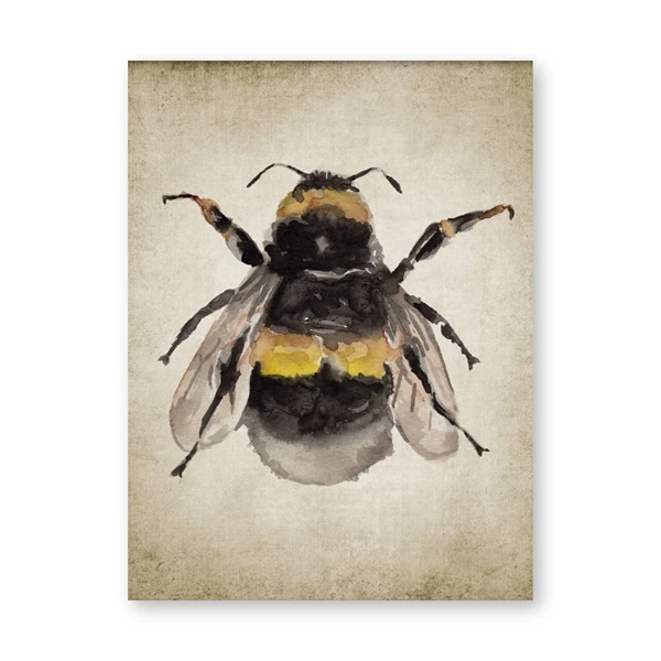 Vintage Bumble Bee Drawing
