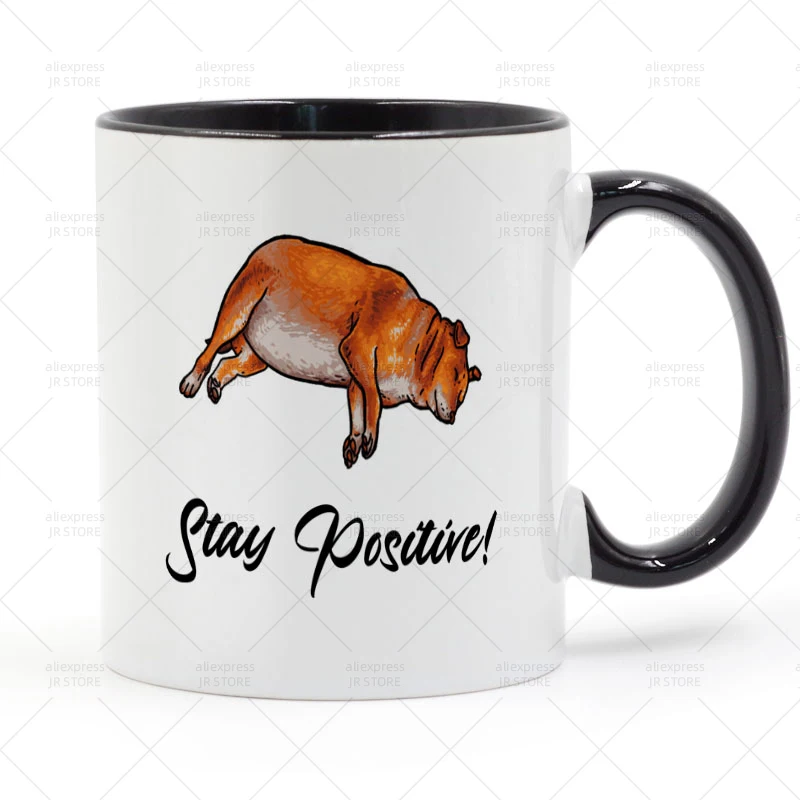 Stay-Positive-Mug-Ceramic-Cup-Gifts-11oz.jpg