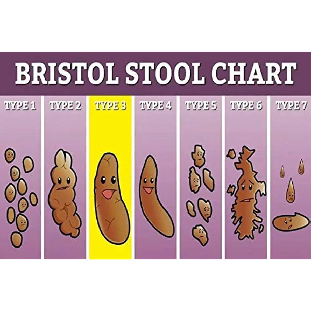 amusFlynnel-Bristol-Stool-Chart-Humour-Poop-Poo-Funny-Metal-Wall-Sign ...