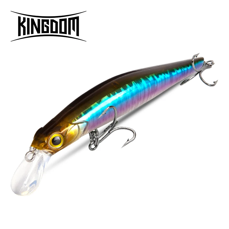 Kingdom-Jerkbaits-Fishing-lures-60mm-6g-80mm-9g-95mm-14g-105mm-18-6g ...