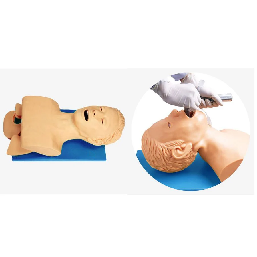 Electronic Tracheal Intubation Simulator,endotracheal Intubation Model ...