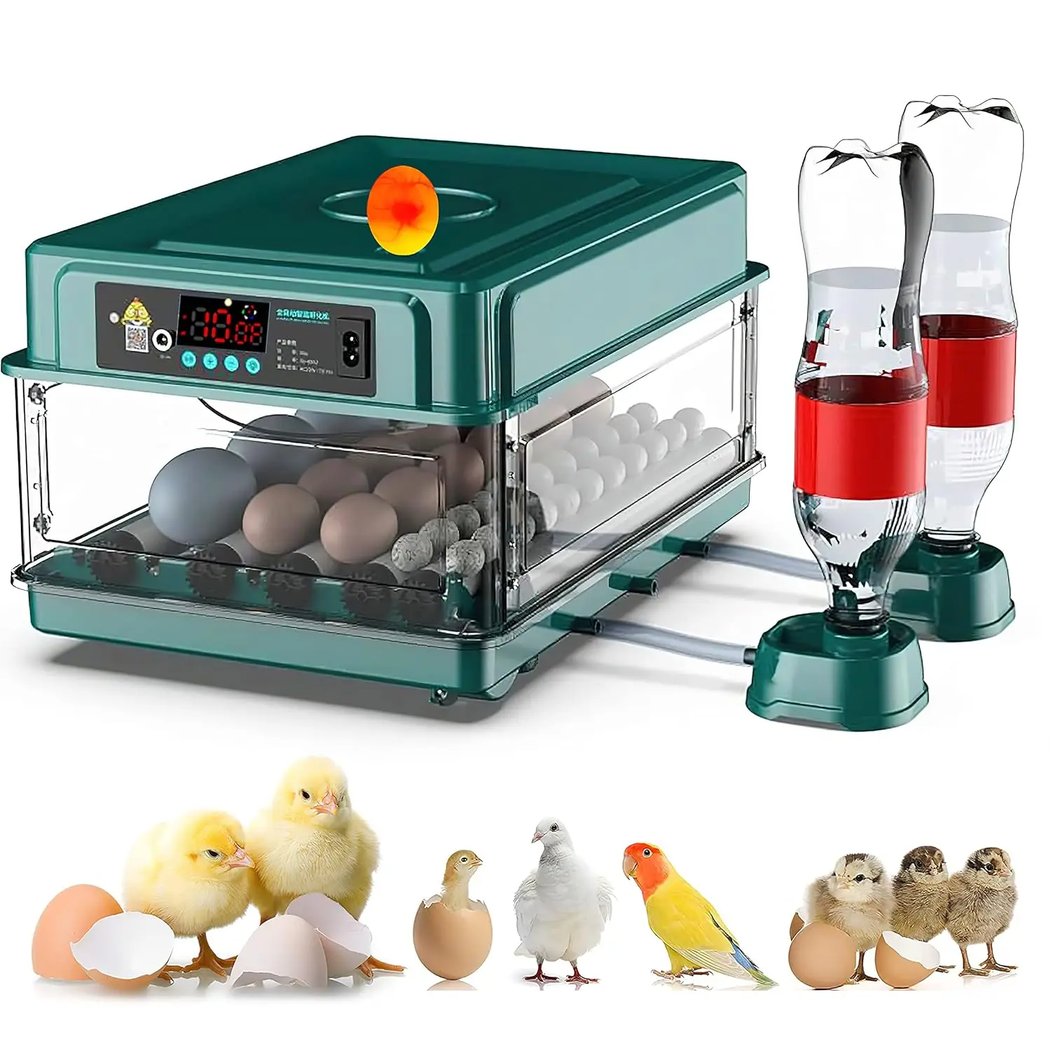 Página inicial da loja Produtos Avaliação