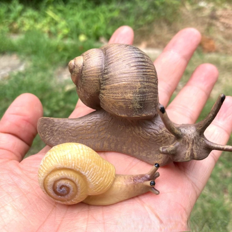 Educational Crawling Animal Toy Snail Decorative Figurine for Kids ...