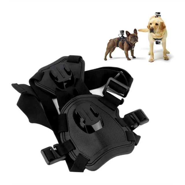 Gopro Dog Mount