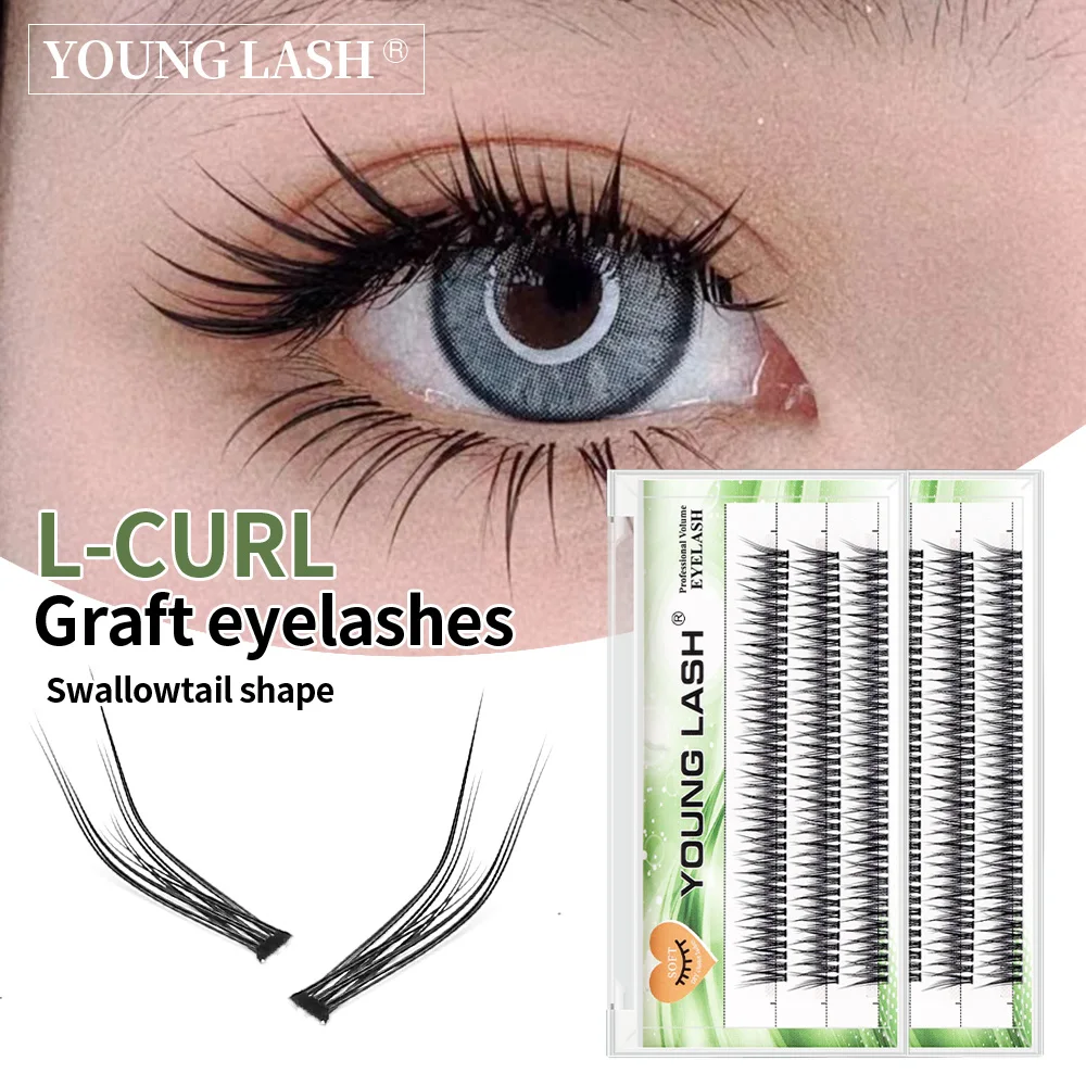 YOUNG-LASH-L-Curl-Swallowtail-Fairy-Segmented-False-Eyelashes ...