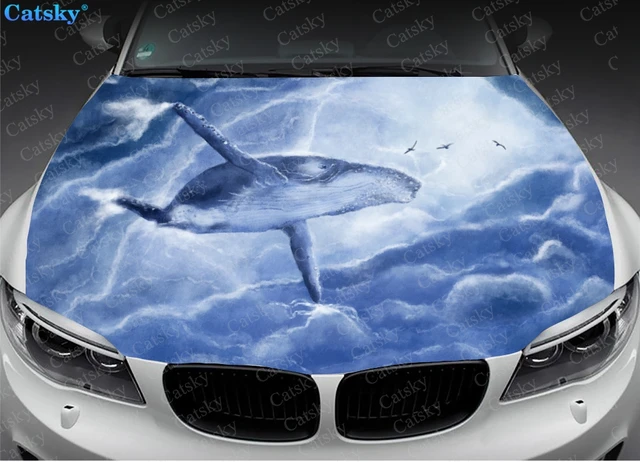 Whale Sticker For Car