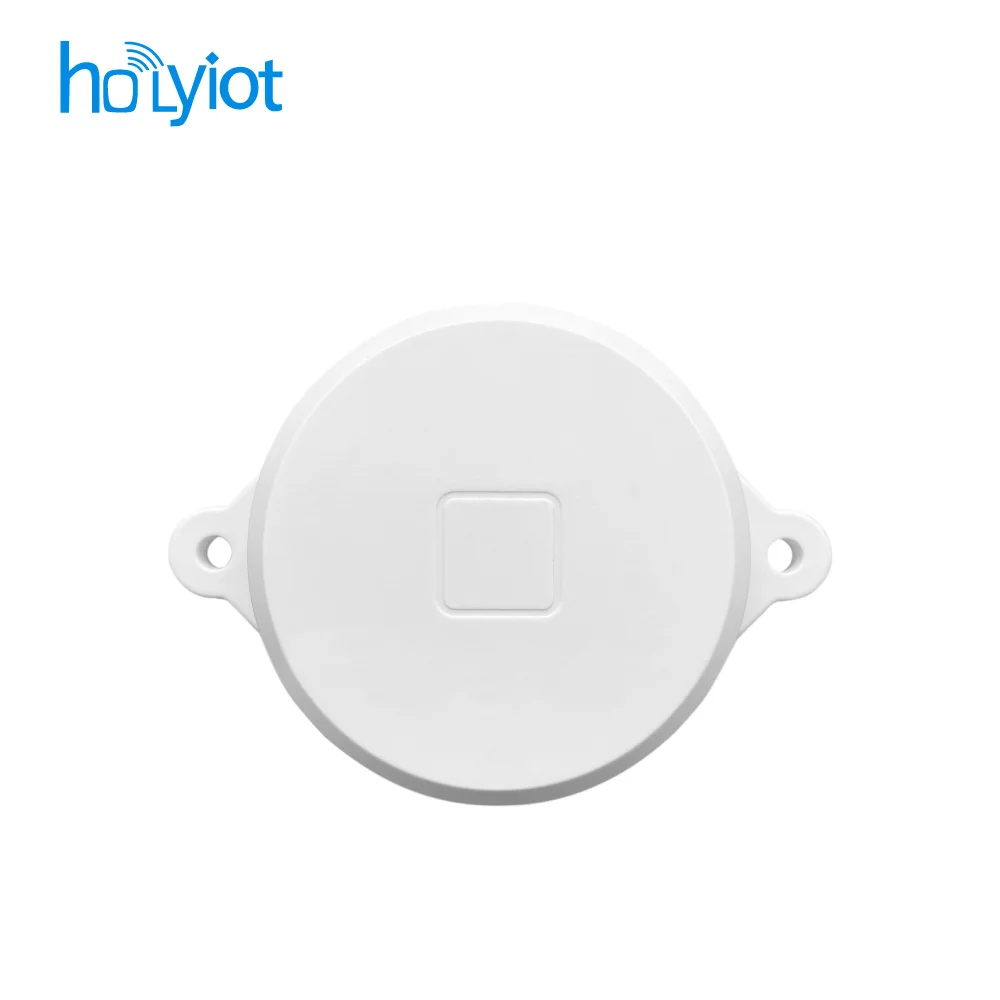 Holyiot nRF52810 Bluetooth 5.0 Low Power Consumption Module Beacon Tag ...