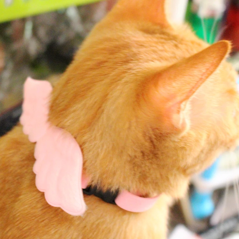 [MPK Store] Angel Wings Pet Collars, Cat Collar, 4 Colors Available Now ...
