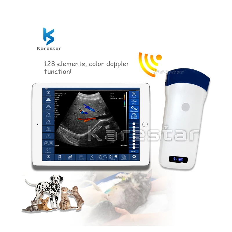 Animal-Medical-Color-Doppler-Ultrasound-Scanner-WiFi-wireless ...