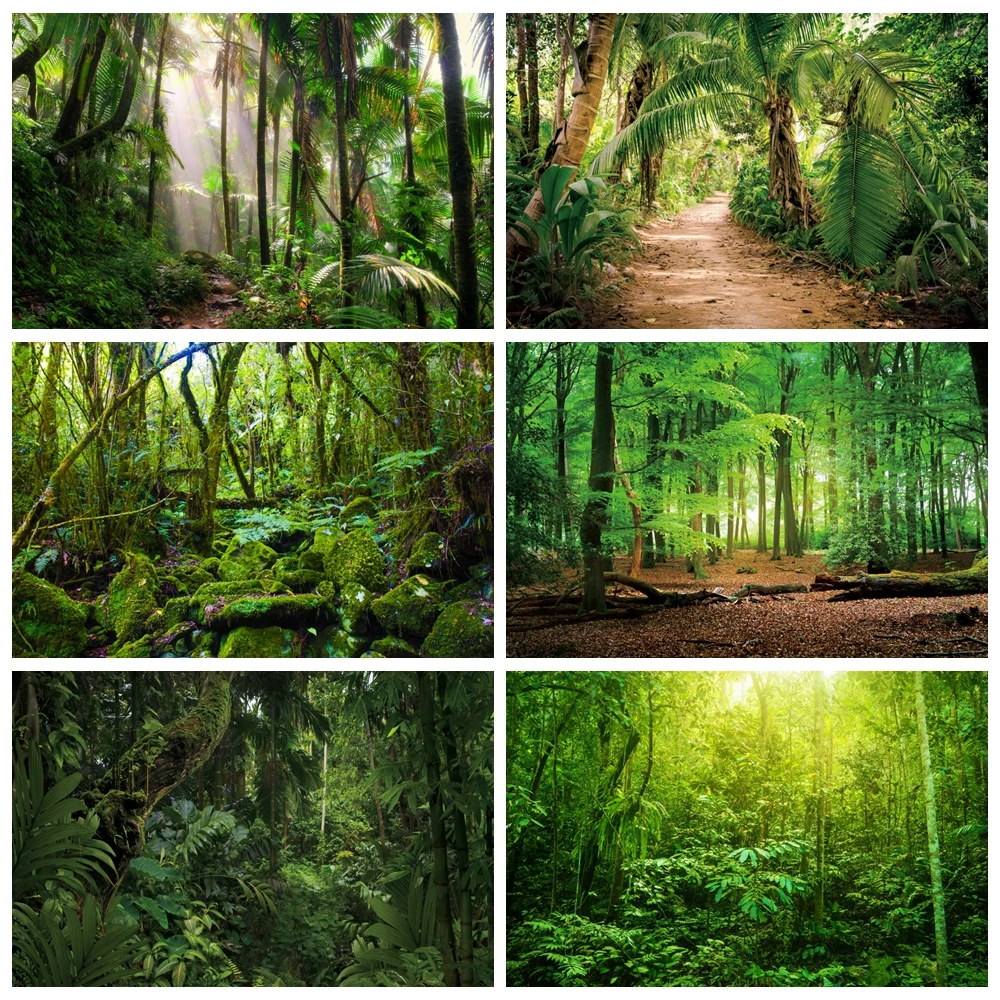 Forest Photography Background | Forest Backdrops Background | Forest ...