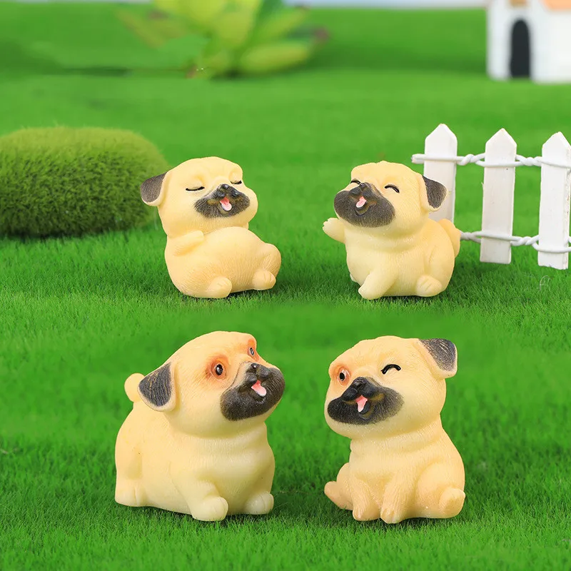 Teacup Pug Puppies