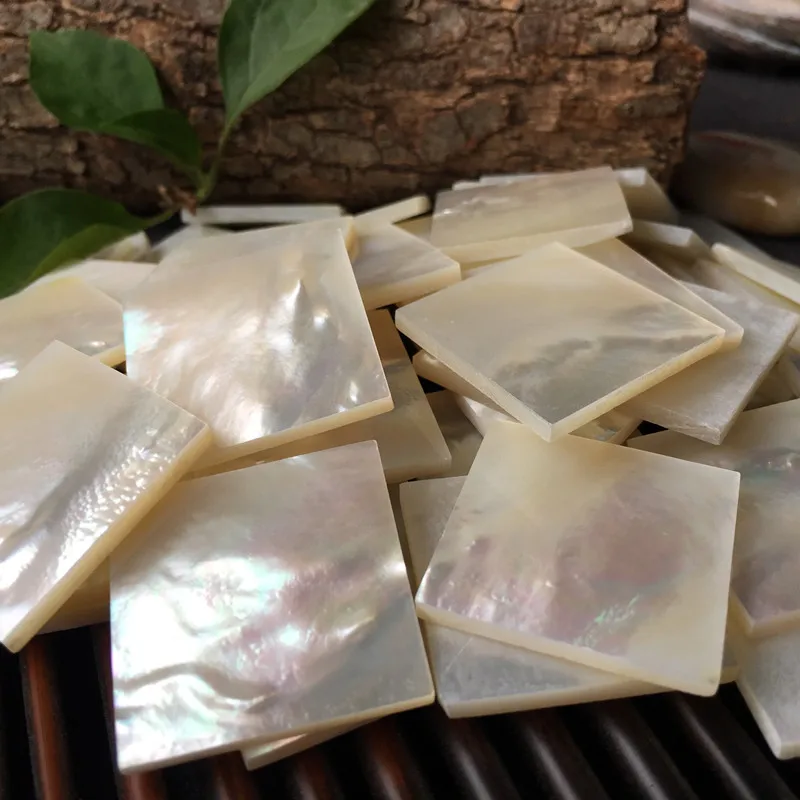 Concha-de-n-car-Natural-blanca-accesorios-para-instrumentos-musicales ...