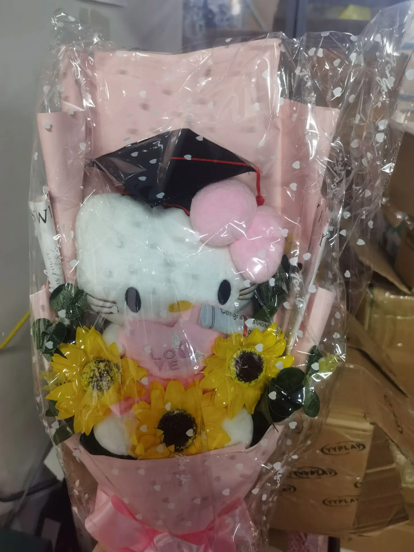 Kawaii Cartoon Hello Kitty Graduation Plush Bouquet - KawaiiMerch.com