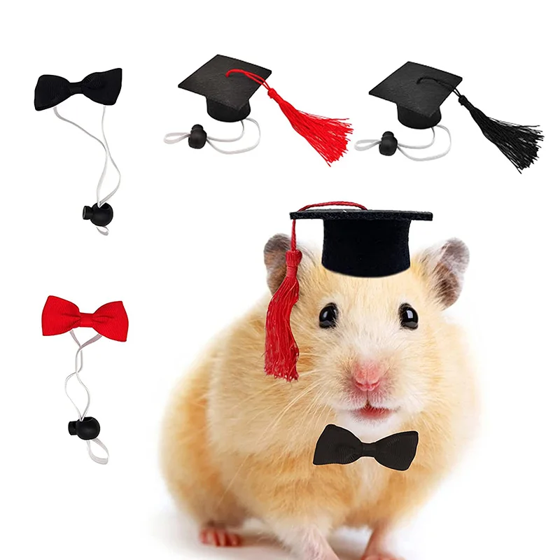 2Pcs-Hamster-Guinea-Pigs-Graduation-Caps-Mini-Bachelor-Hats-Bow-Ties ...