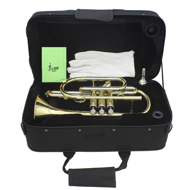 Cornet Instrument Renaissance