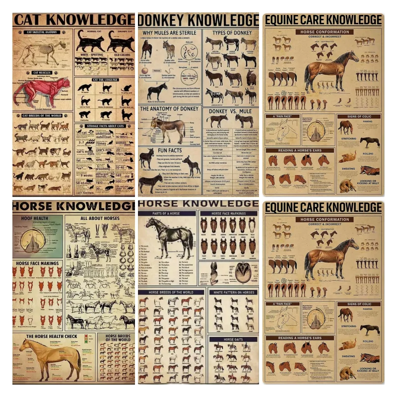 FORJN FACTORY STORE Store