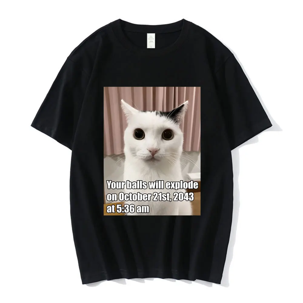 Your-Balls-Will-Explode-Funny-Cat-Meme-Graphic-T-Shirt-Men-s-Fashion ...
