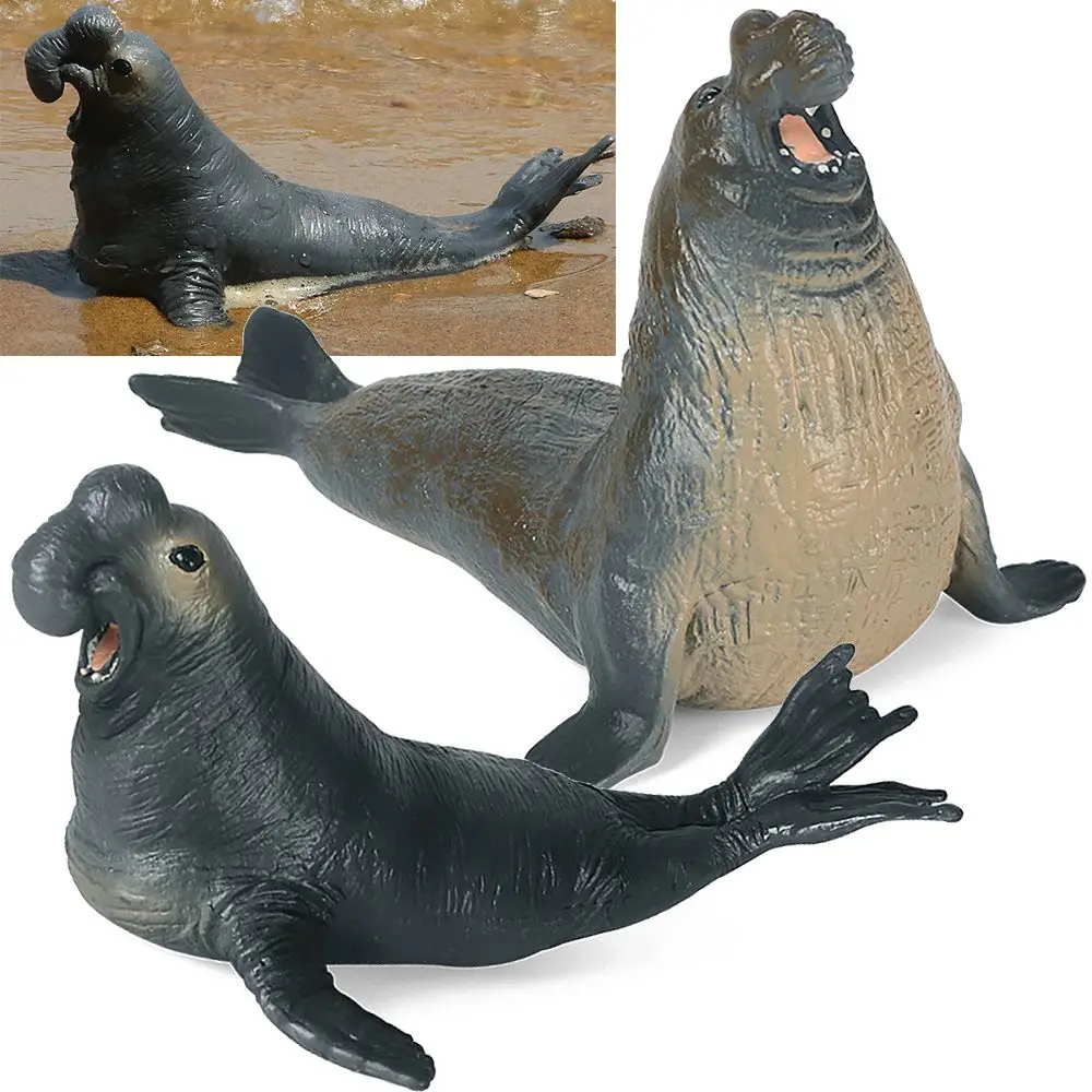 Walrus Vs Elephant Seal