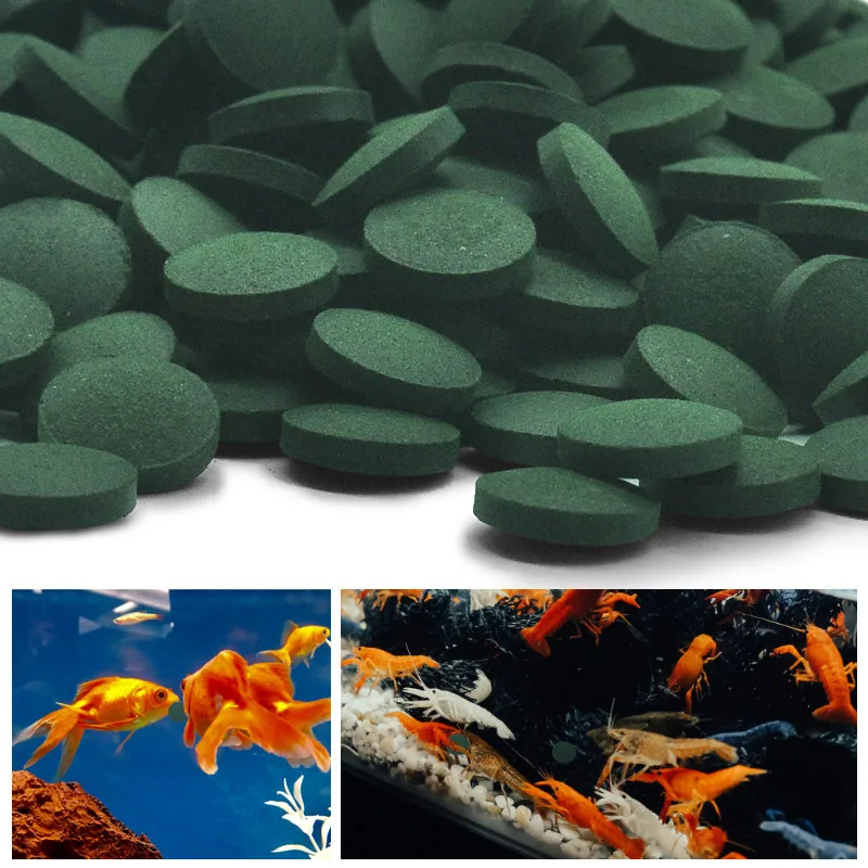 100-2500pcs-Spirulina-Tablets-Enrichment-Favorite-Pet-Food-Fish-Crystal ...