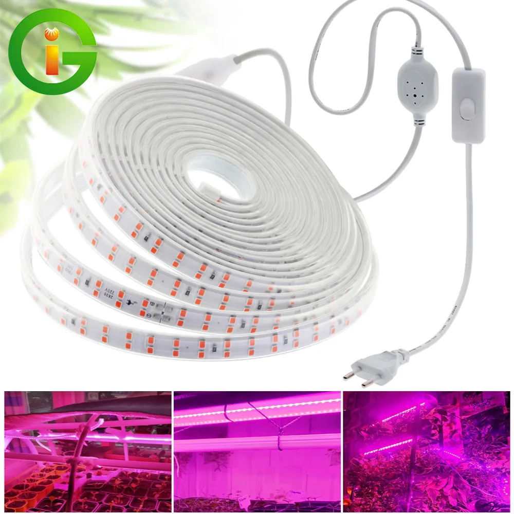 LED-Grow-Strip-Full-Spectrum-Double-Row-Lamp-Beads-LED-Grow-Light ...