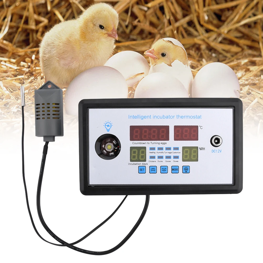 Automatic Egg Turning Incubator 16-Egg Automatic Incubator - Smart App ...