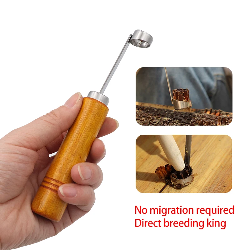Beekeeping No-Graft Queen Rearing Kit Comb Foundation Cutter, Queen ...