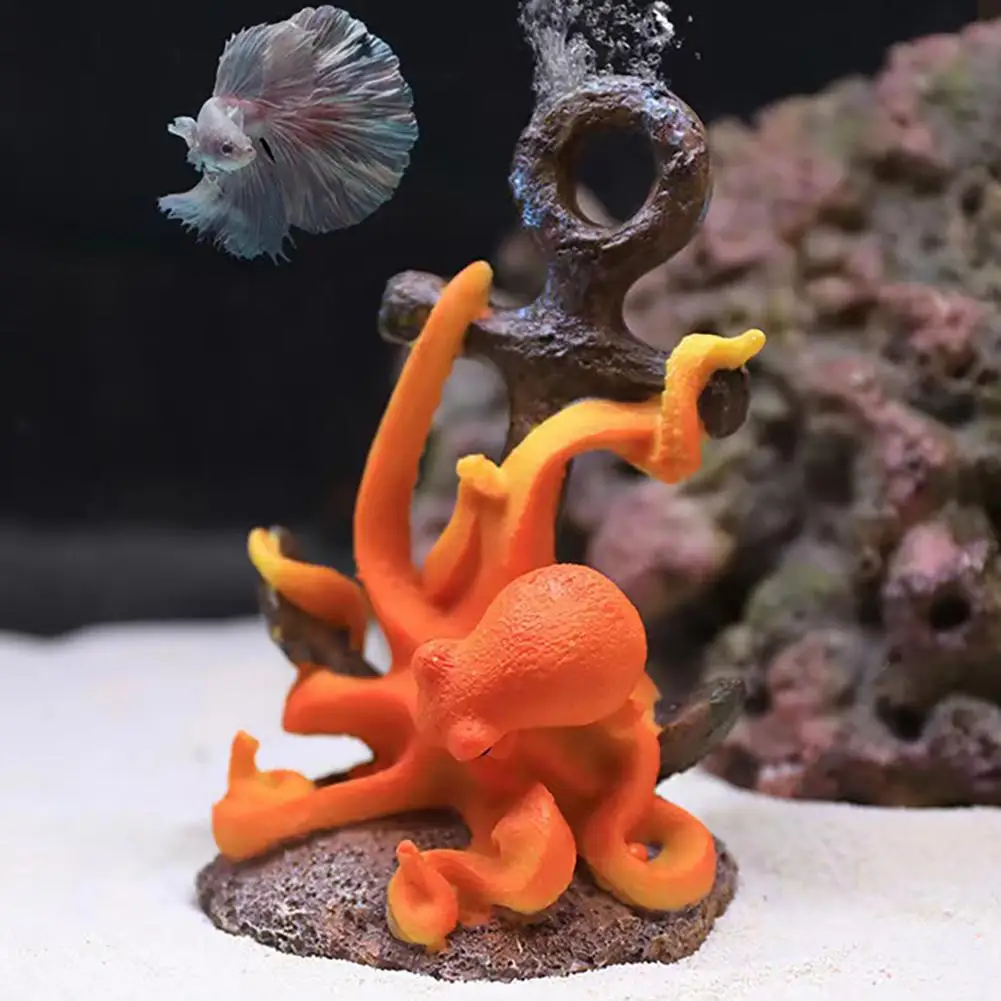 Octopus Tank