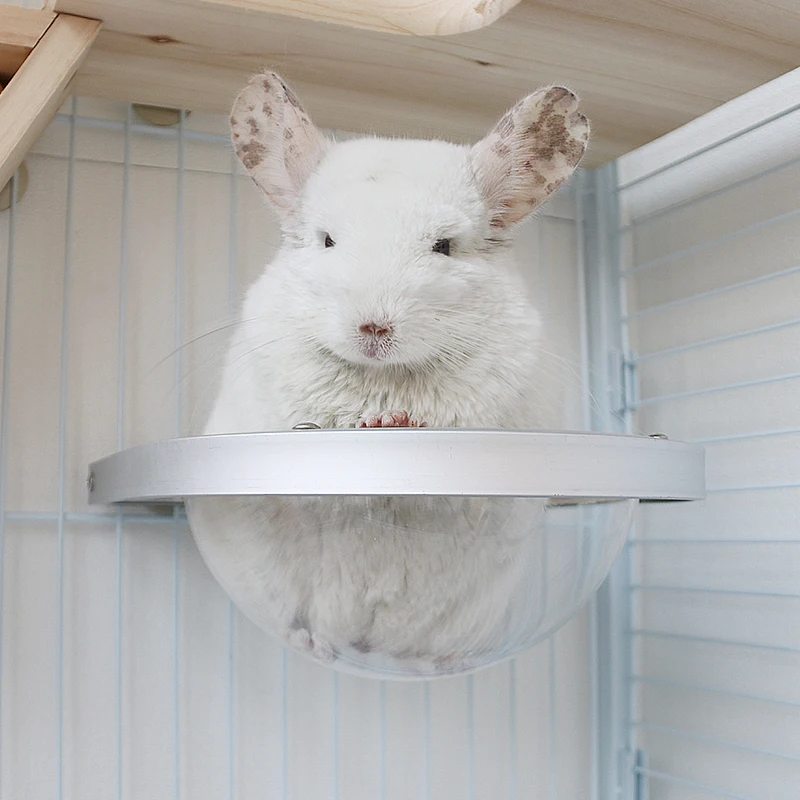 Accessories Animal Chinchilla | Small Accessories Chinchilla | Acrylic ...