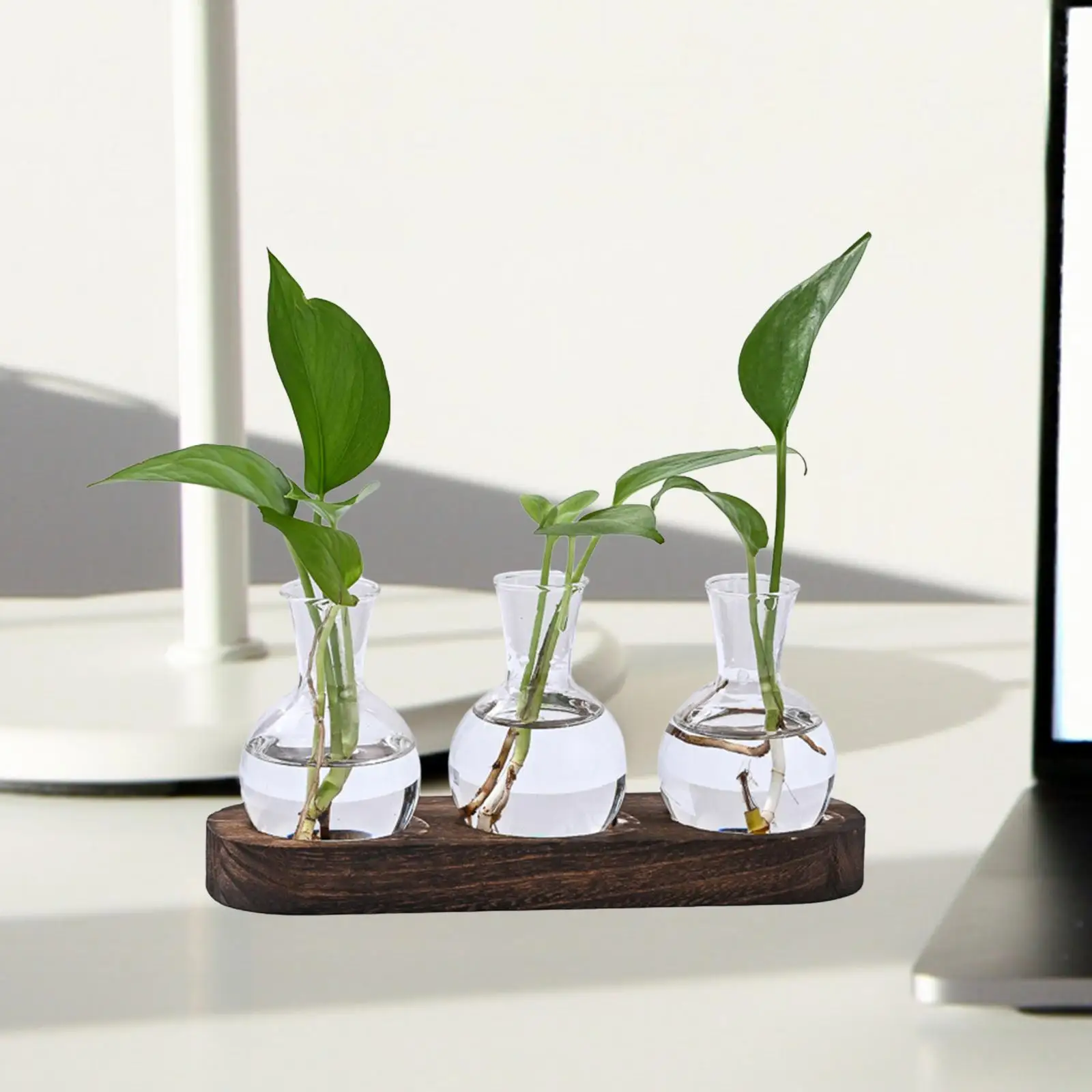 Hydroponic-Plant-Pot-Modern-Small-Hydroponic-Plants-Vase-Bud-Vase ...