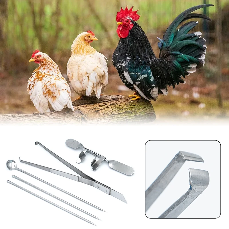 Stainless-Steel-Castration-Tools-Big-Chicken-And-Little-Chicken-New ...